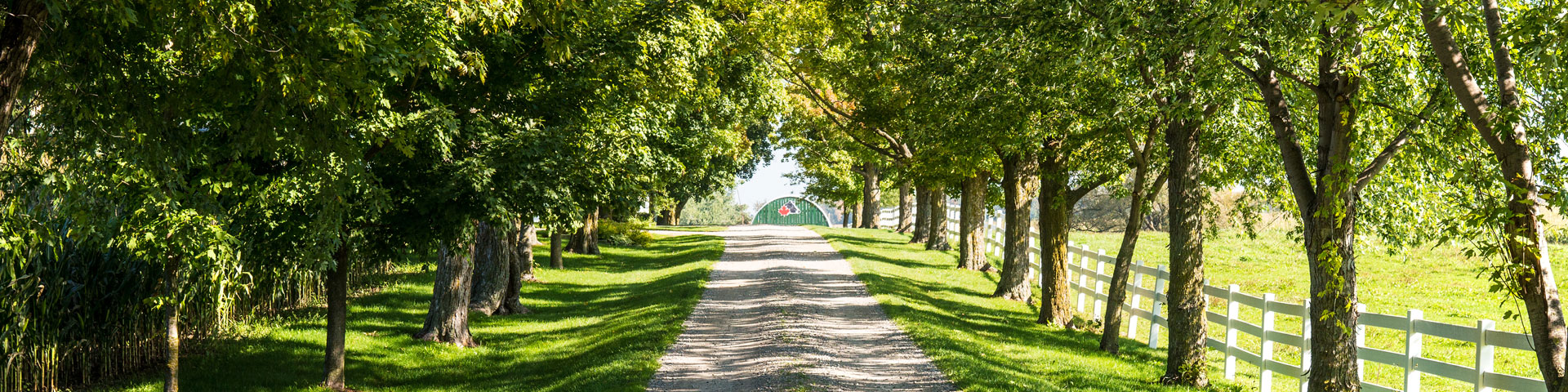 Wellington County Data | Economic Development