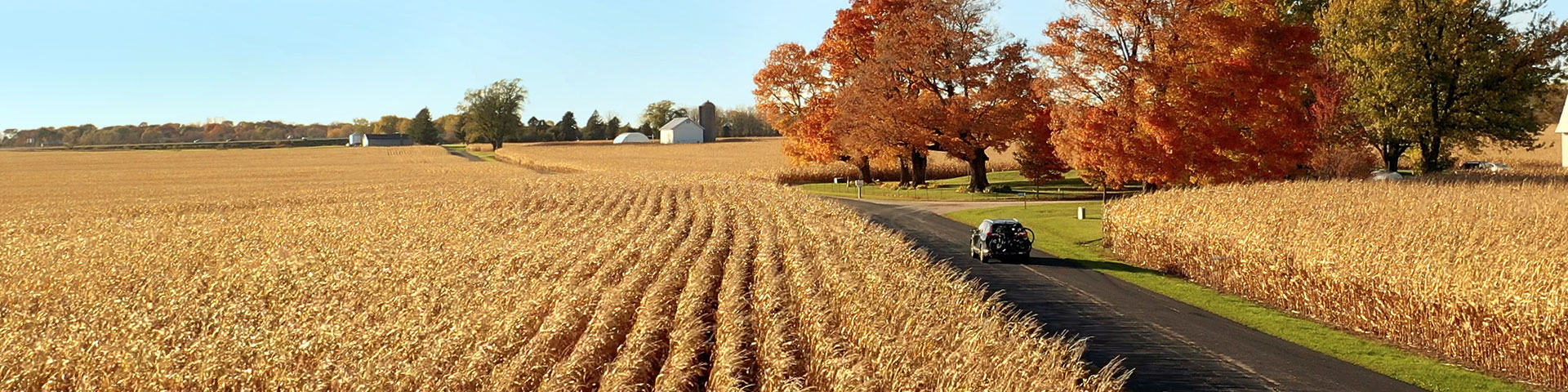 Transition Planning | Wellington County