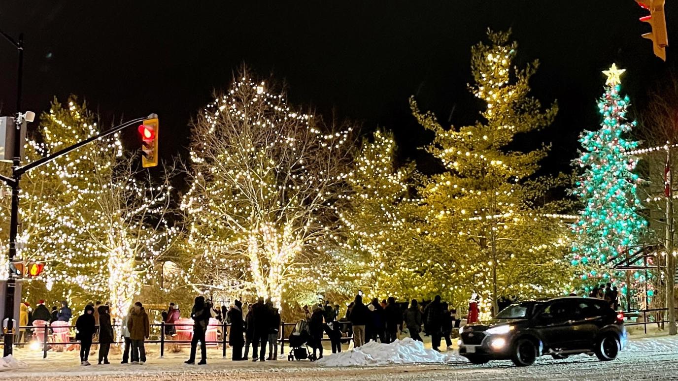 Winter Adventures | Experience Wellington | Economic Development