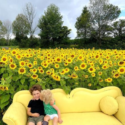 Erin Hill Acres | Wellington County | Business Directory