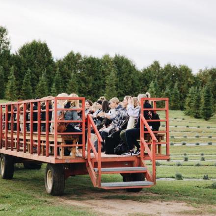 Erin Hill Acres | Wellington County | Business Directory