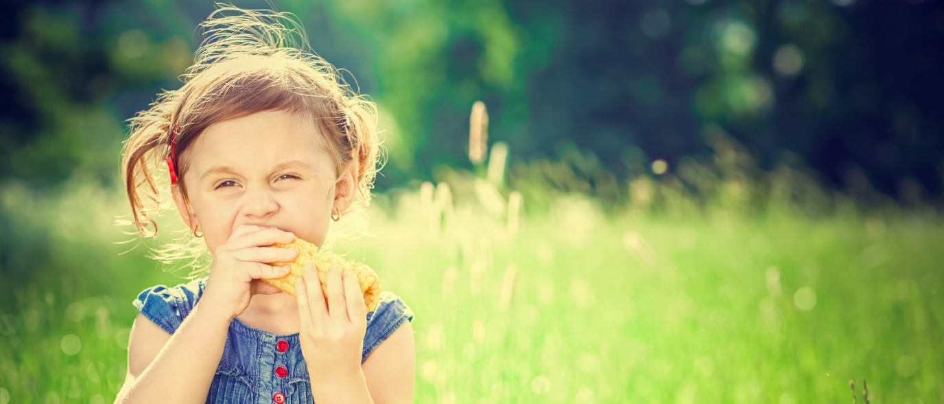 Summer Solstice Jamboree - Hosted at Everdale Farm | Wellington County ...